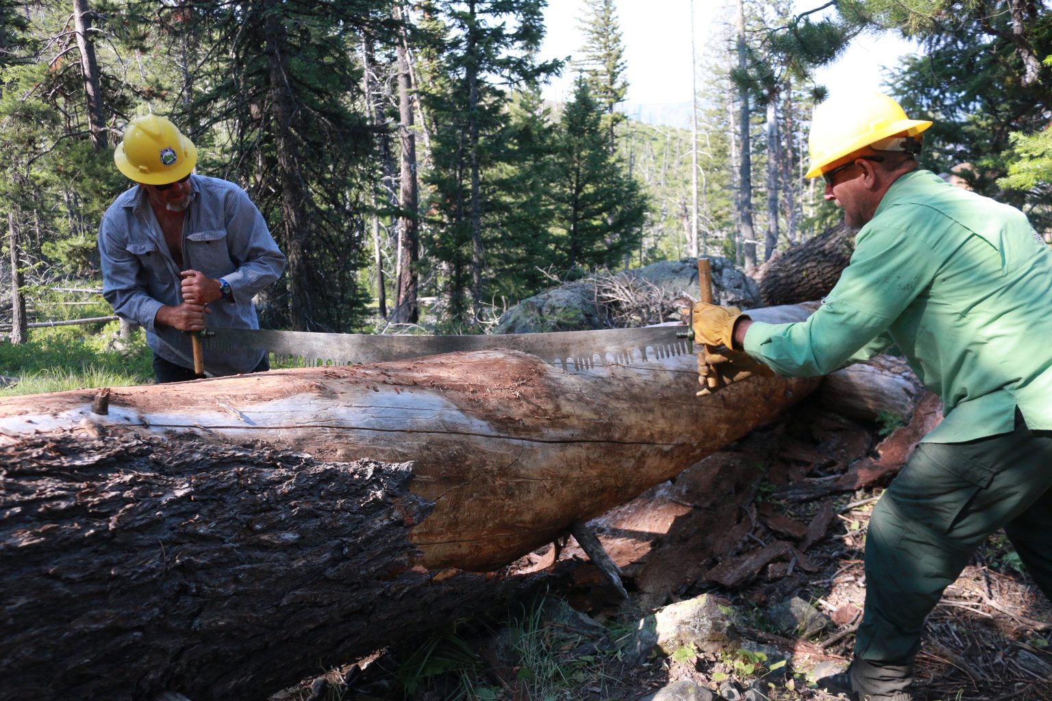 Top 10 Trail Tools – Idaho Trails Association