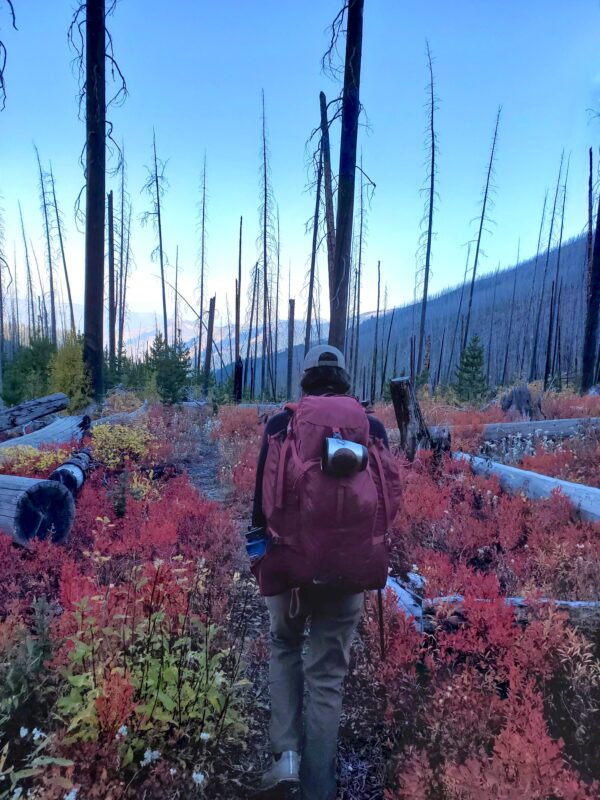 Trail Spotlight: Sheep Creek – Idaho Trails Association