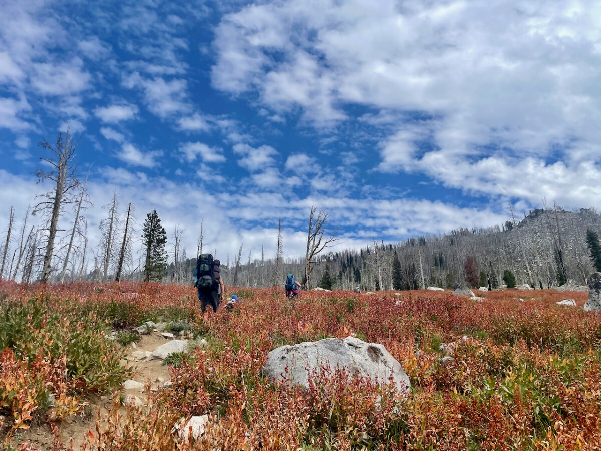 Trail Spotlight: Rainbow Basin Trail – Idaho Trails Association