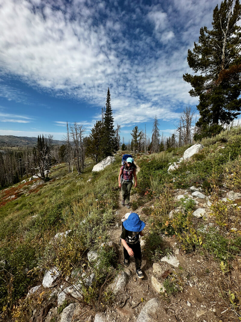 Trail Spotlight: Rainbow Basin Trail – Idaho Trails Association