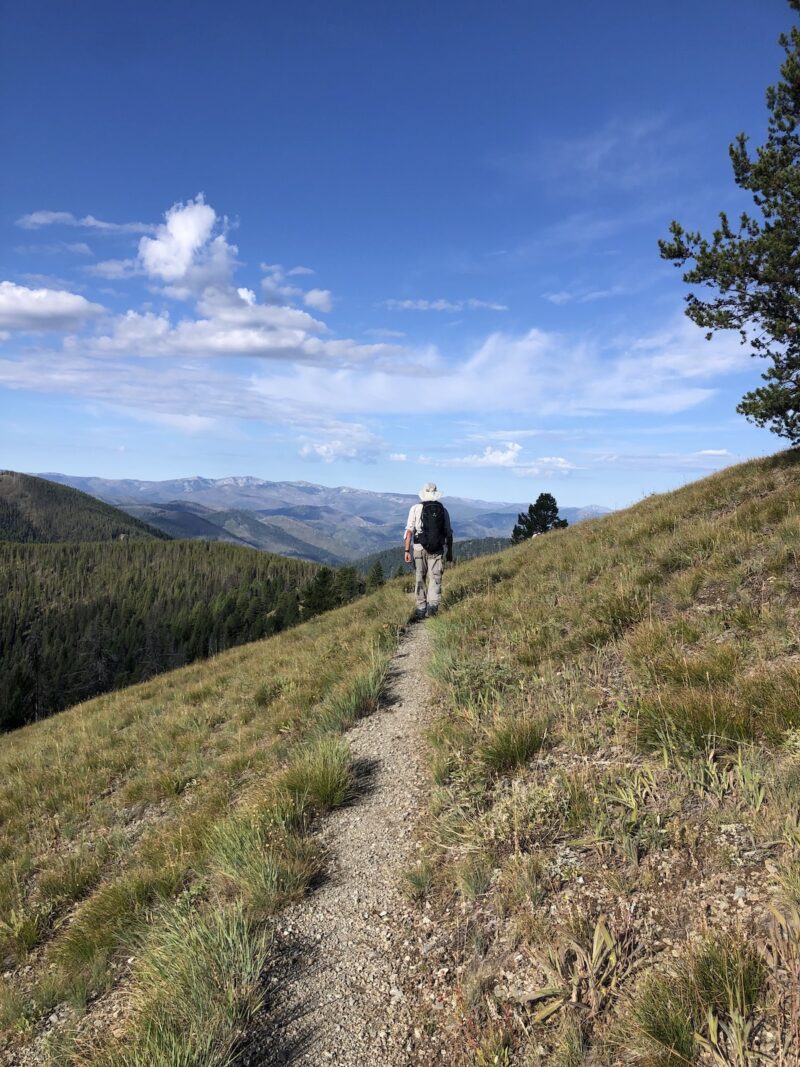 Trail Spotlight: Divide Trail North – Idaho Trails Association