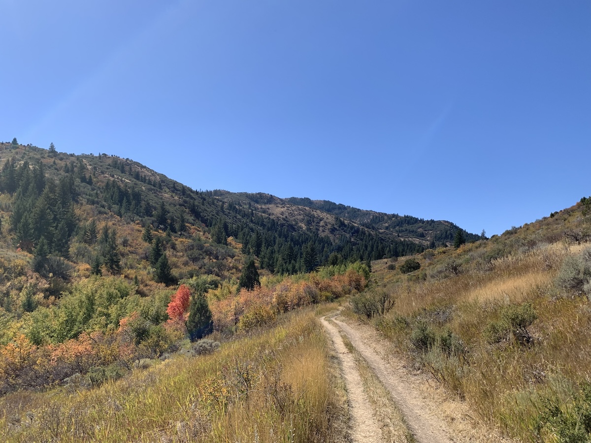 Trail Spotlight: South Fork of Gibson Jack Trail – Idaho Trails Association