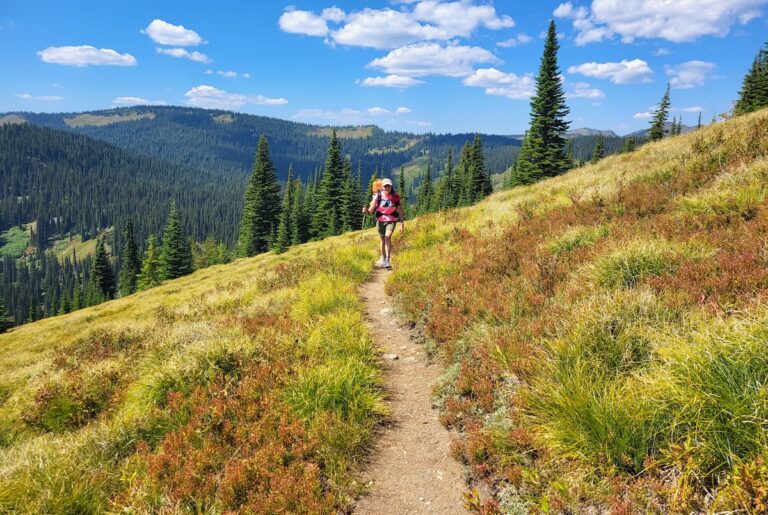 Projects - Idaho Trails Association
