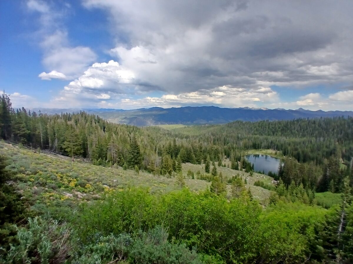 Trail Spotlight: Alpine Way – Idaho Trails Association